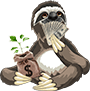Introducing The Money Sloth™! - The Money Sloth